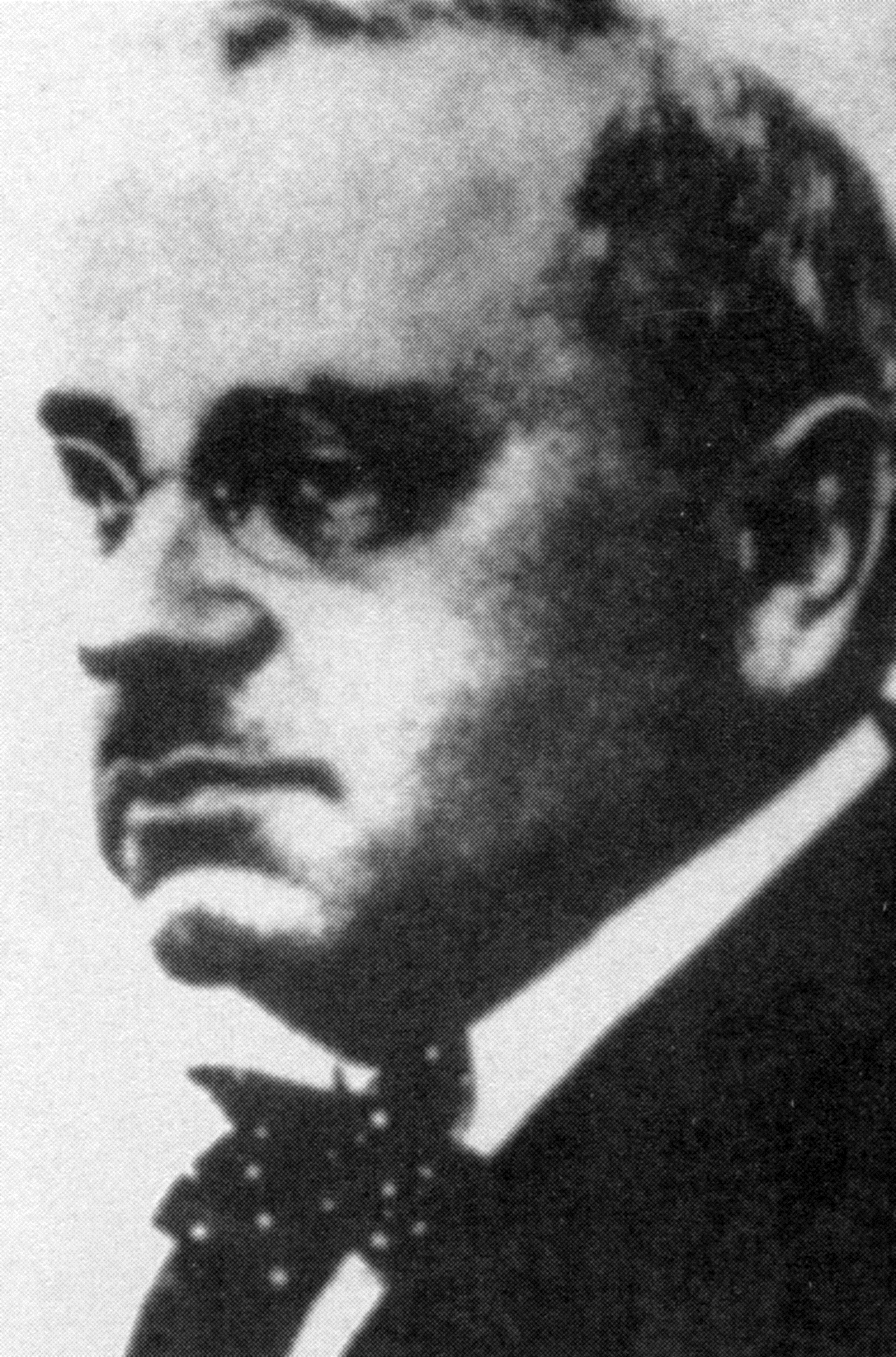 Viaţa lui Adler – Editura Trei Blog